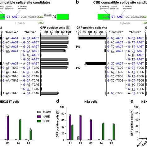 Off Target Activities Of Various Abe And Cbe Variants With 50 Download Scientific Diagram