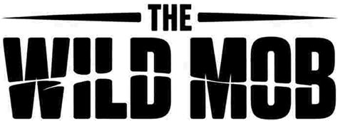 Loggerhead Turtle Life Cycle On The Great Barrier Reef
