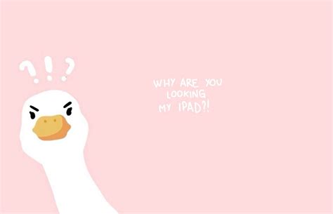 Best 13 Duck Wallpaper For Your Laptop Or Ipad Artofit