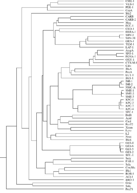 Rooted Dendrogram Obtained For 62 Representative Precursor Class A