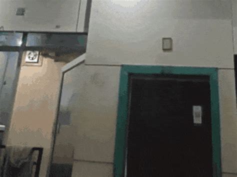 Brothers Who Ran A Sex Racket In Varanasi Get Bail Police Accused Of Extortion And Intimidation