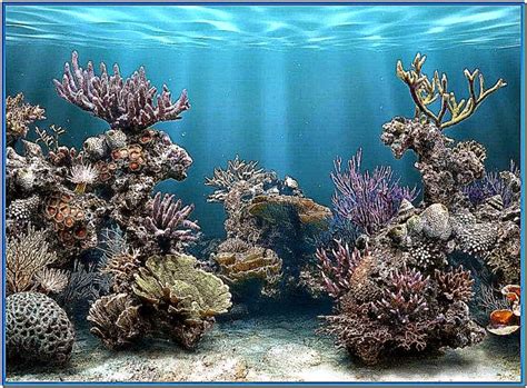 🔥 Free Download 3d Desktop Aquarium Filename Screensaver Wallpaper By