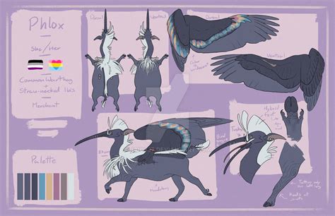 Phlox In Depth Reference 1124 By Jaius27 On Deviantart