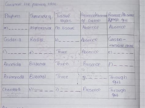 Complete The Following Table Phylum Studyx