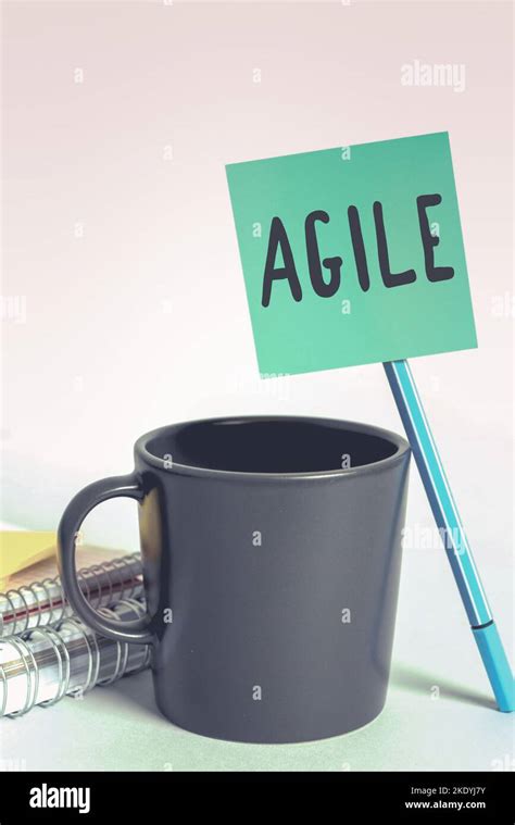 Conceptual Display Agile Business Overview Iterative Approach To