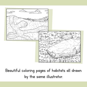 Realistic Grassland Habitat Coloring Pages Savannah Nature Biome
