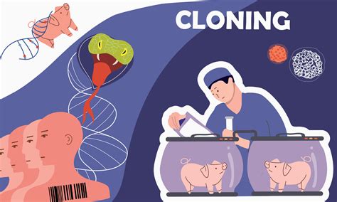 How Human Cloning Works