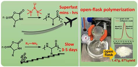 Openvessle And Superfast Nca Polymerization To Synthesize Polypeptides Research Communities By