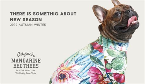 愛犬をもっと可愛くおしゃれに！おすすめのペット服ブランド7選 アウトレット・ジャパン マガジン