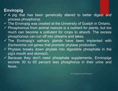 Environmentalsignificanceofgmomicrobespptx