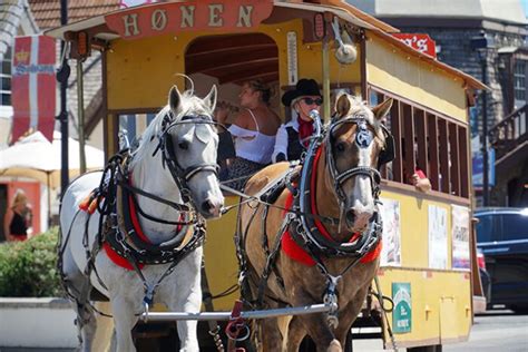 27 Best And Fun Things To Do In Solvang Ca Attractions And Activities