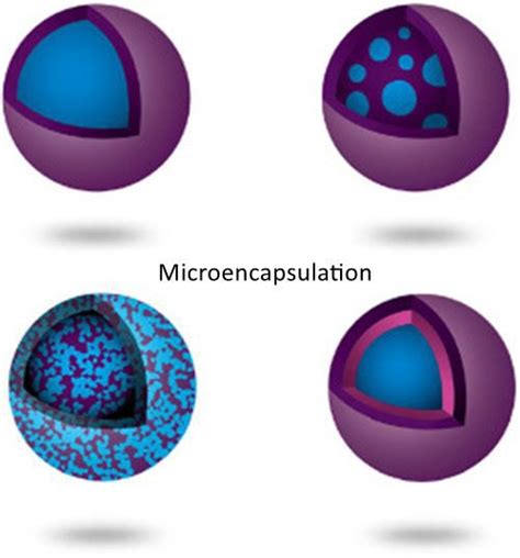 Microencapsulation Technology สามารถใช้สำหรับสารสกัดจากสมุนไพรได้