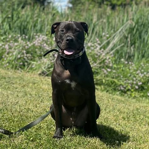 June Bug Junebugg • Threads Say More