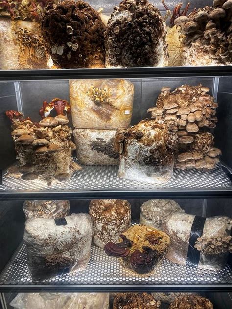 Hospitality Hospitalitylife Restaurants Proudpartners Bakery Artisanbakery Sevenseeded