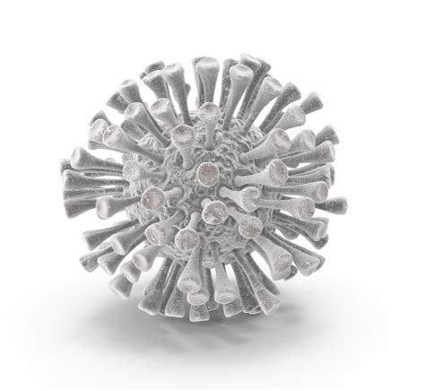 Home Page Secondcell Bio