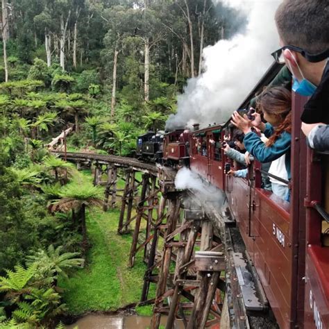 Where To Spot Puffing Billy Victoria Camps Australia Wide