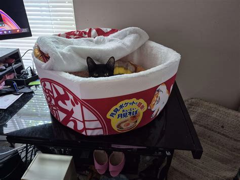 Hades The Noodle Cat Album On Imgur