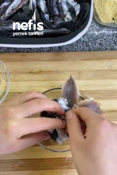 Hamsi Çiçeği Nefis Yemek Tarifleri 8672765