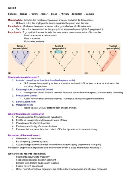 summary of weekly lecture material bio1022 biology ii monash