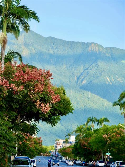 名列世界十大名木之一的「台灣欒樹」，秋天是花開季節，準備好賞花了嗎？ 開心papago的吃喝玩樂 Udn部落格
