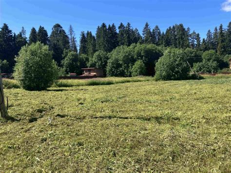 Покос дачного участка