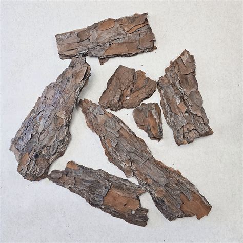 Florida Pine Bark Isopod Habitat Dried Pine Bark Organic Bark Litter