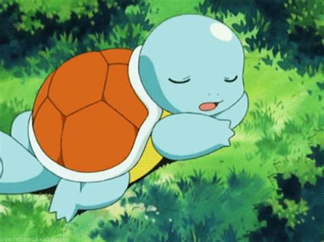 해연갤 커여운 꼬부기 짤 보고갈래 붕붕이들아