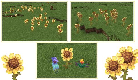 Golden Sunflowers Minecraft Resource Pack