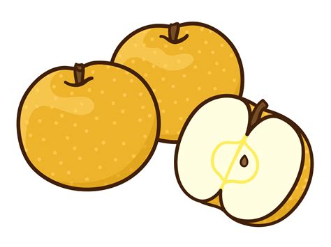 薬剤師のブログ 「くすり」のはなし 梨のお話し 薬剤師のブログ 「くすり」のはなし