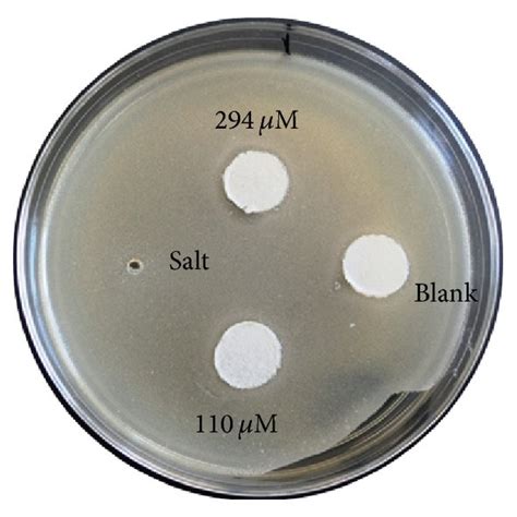 Paper Disk Diffusion Assay Of Antimicrobial Activity Of Different