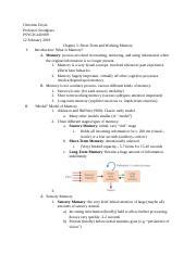 Chapter Short Term And Working Memory Christine Doyle Professor Snodgrass PSYCH