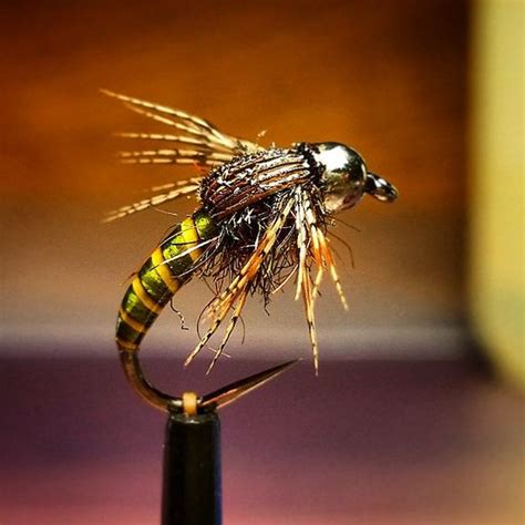 490 Best Nymph Fly Patterns Ideas In 2024 Nymph Fly Patterns Nymph Fly Tying Patterns