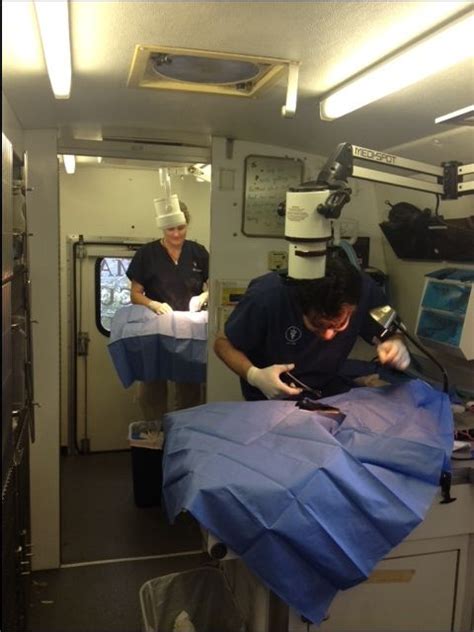 Drs Treasure Schultz Dvm And Ryan Ayers Dvm Perform Spay Neuter Surgeries On The Spay Waggin