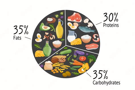 Macronutrientes Carbohidratos Proteínas Grasas Presentadas Ilustración Vectorial De Categorías