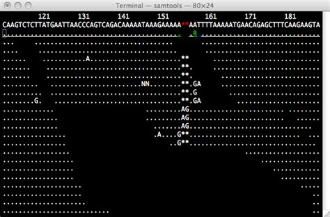 Text Alignment Viewer