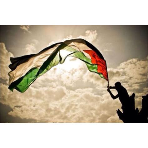 This Land Is Mine Nina Paleys Animated History Of The Israel Palestine