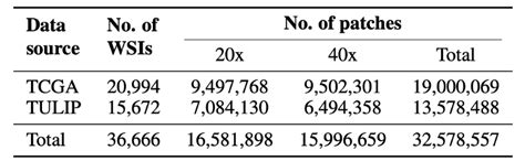 Pathology Meets Large Scale Self Supervised Learning