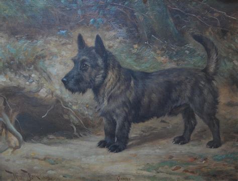 Wright Barker Jamey A Brindle Scottie Terrier For Sale At 1stdibs