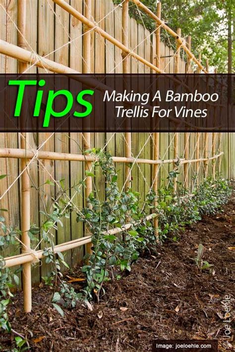Create Your Own Bamboo Trellis For Vines With These Helpful Tips