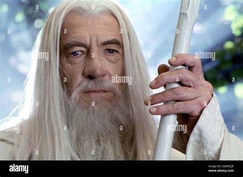 Lego Lord Of The Rings Gandalf The White