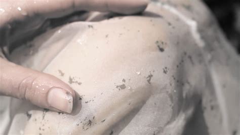 Biogarmentry By Roya Aghighi Dezeen Awards