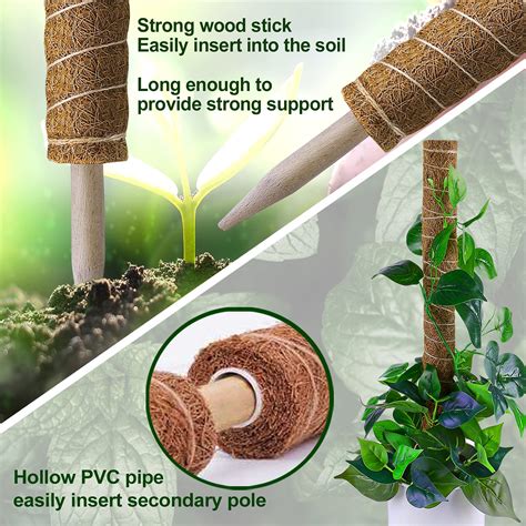 Moss Pole 587 Inch Monstera Plant Support 5 Pack 17