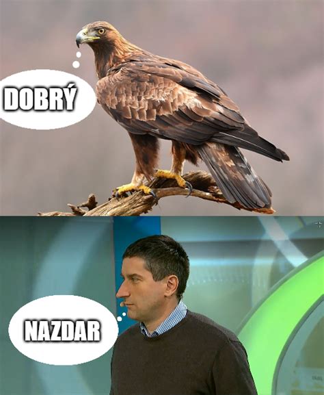 Orol K Orlovi Sadá D R Svedkovia Dragulovi