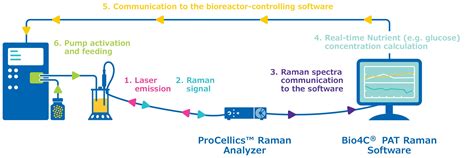 Procellics™ Raman Analyzer With Bio4c® Pat Raman Software Merck