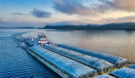 Cicpa Security Pass In Abu Dhabi Al Barr Fms Llc