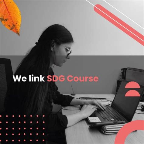 We Link Sdg Course 2811global