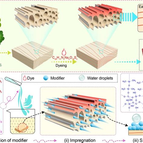 Schematic Representation Of The Bionic Fabrication Of Functional