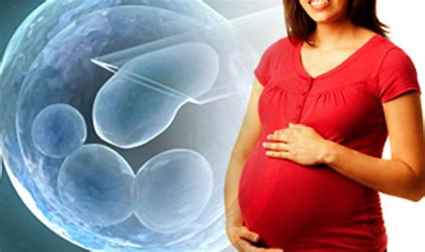 Govt To Give Smartphones To Decoy Customers To Check Sex Determination Tests