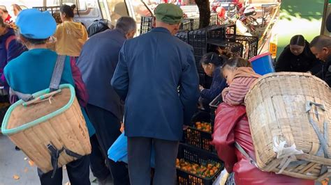 则戎布依族苗族赶集，这里的物价好便宜，万峰林好地方旅游旅途风光好看视频