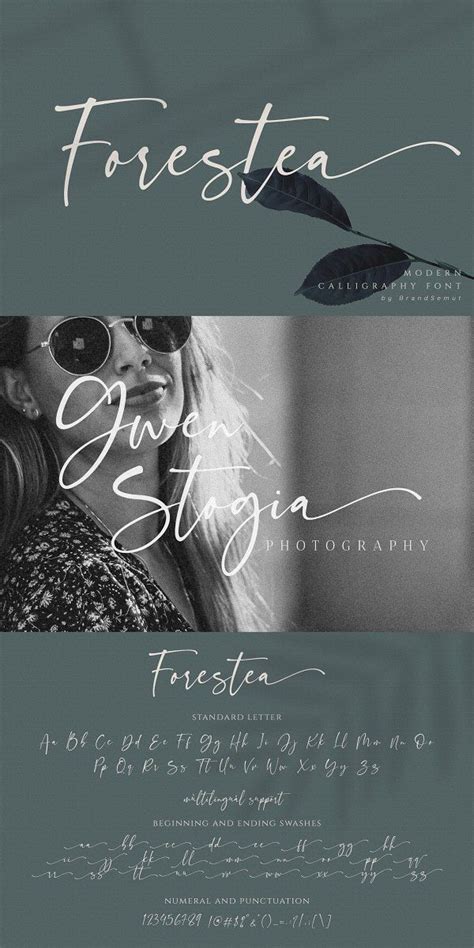 Forestea Classy Script A Script Font By Brandsemut Modern Calligraphy Fonts Create Text